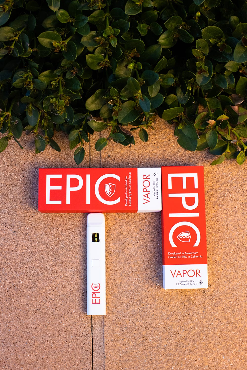 EPIC | THE GREATEST CANNABIS PRODUCTS